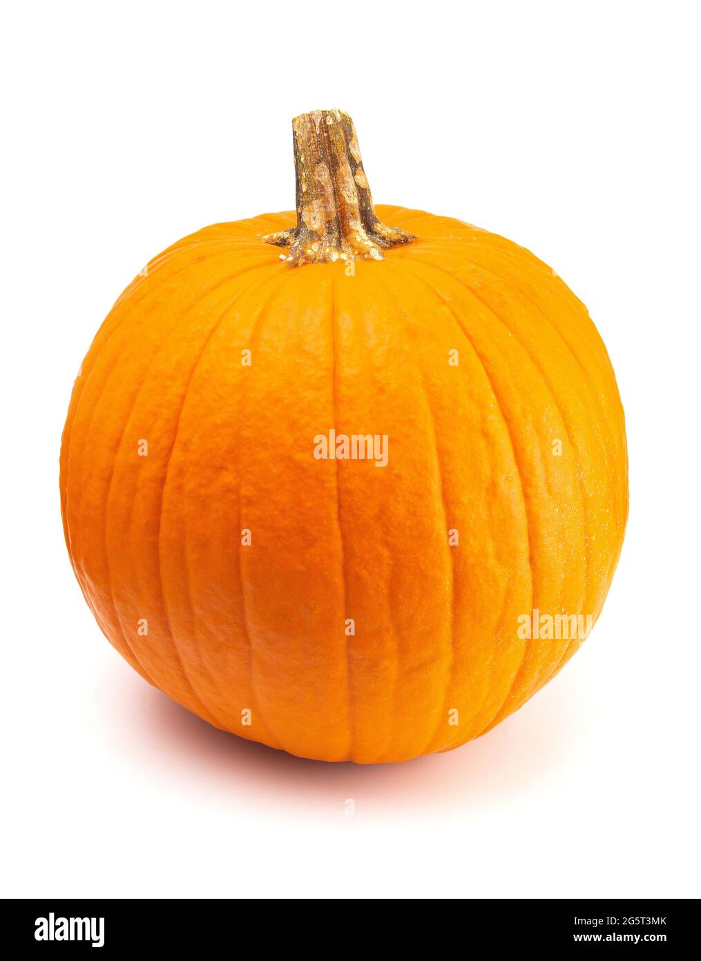 A Single Large Orange Pumpkin on a White Background Stock Photo - Alamy