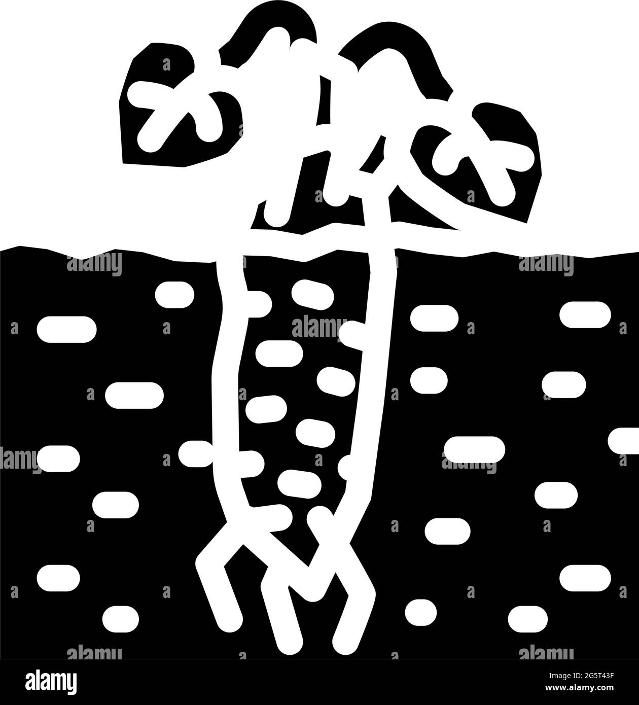 Japanese wasabi plant Stock Vector Images - Alamy