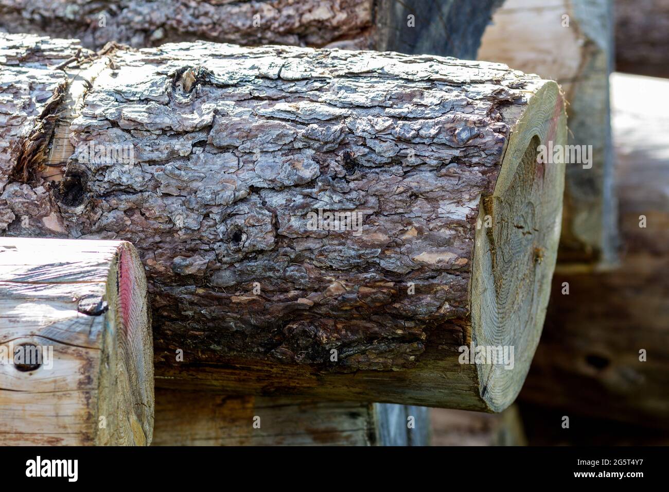 Cut wooden logs Stock Photo - Alamy