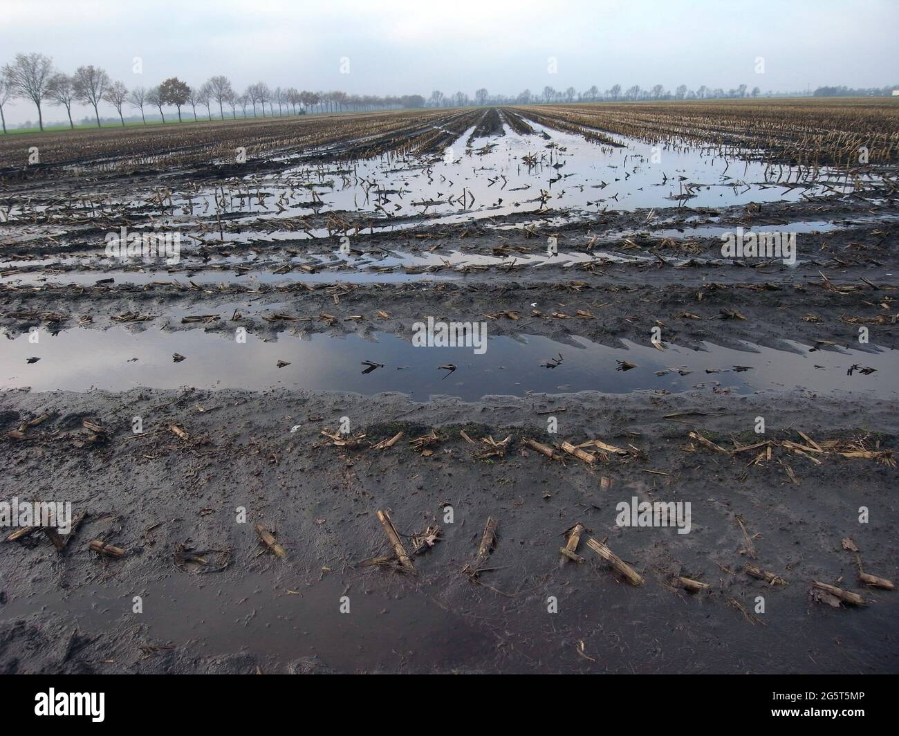 Soil compaction hi-res stock photography and images - Alamy