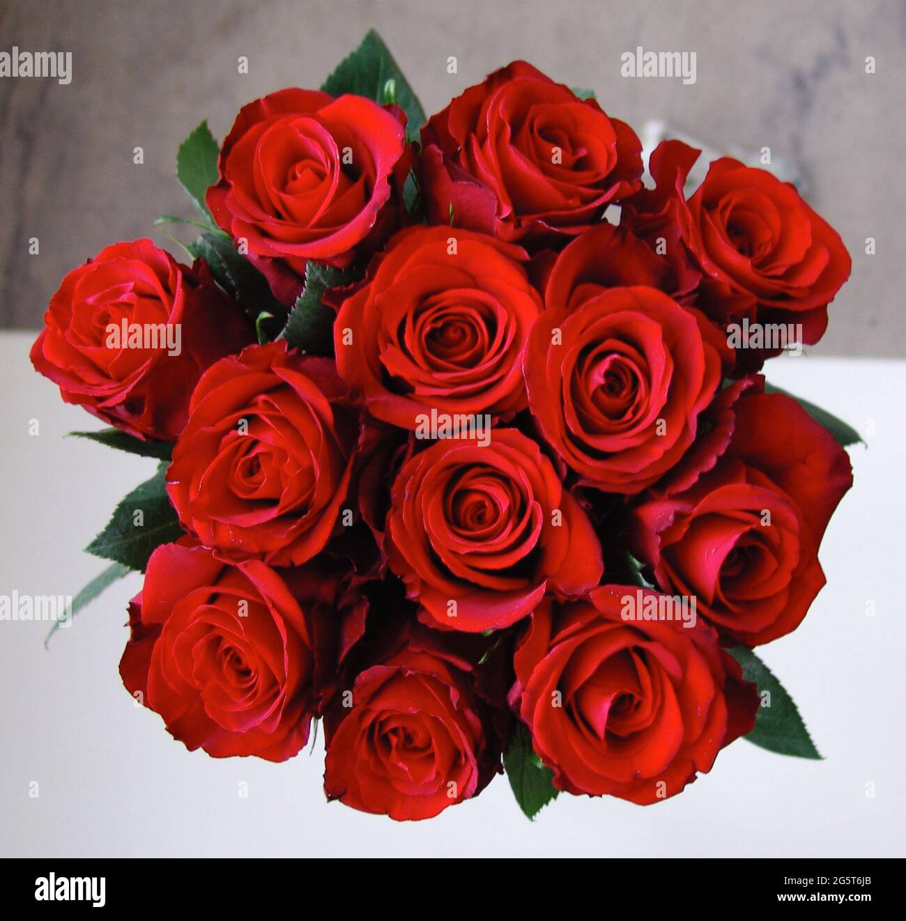 rose (Rosa spec.), bouquet of red roses Stock Photo - Alamy