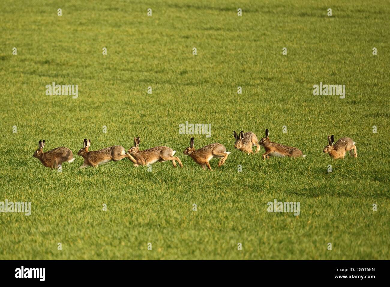 Season spring hi-res stock photography and images - Alamy