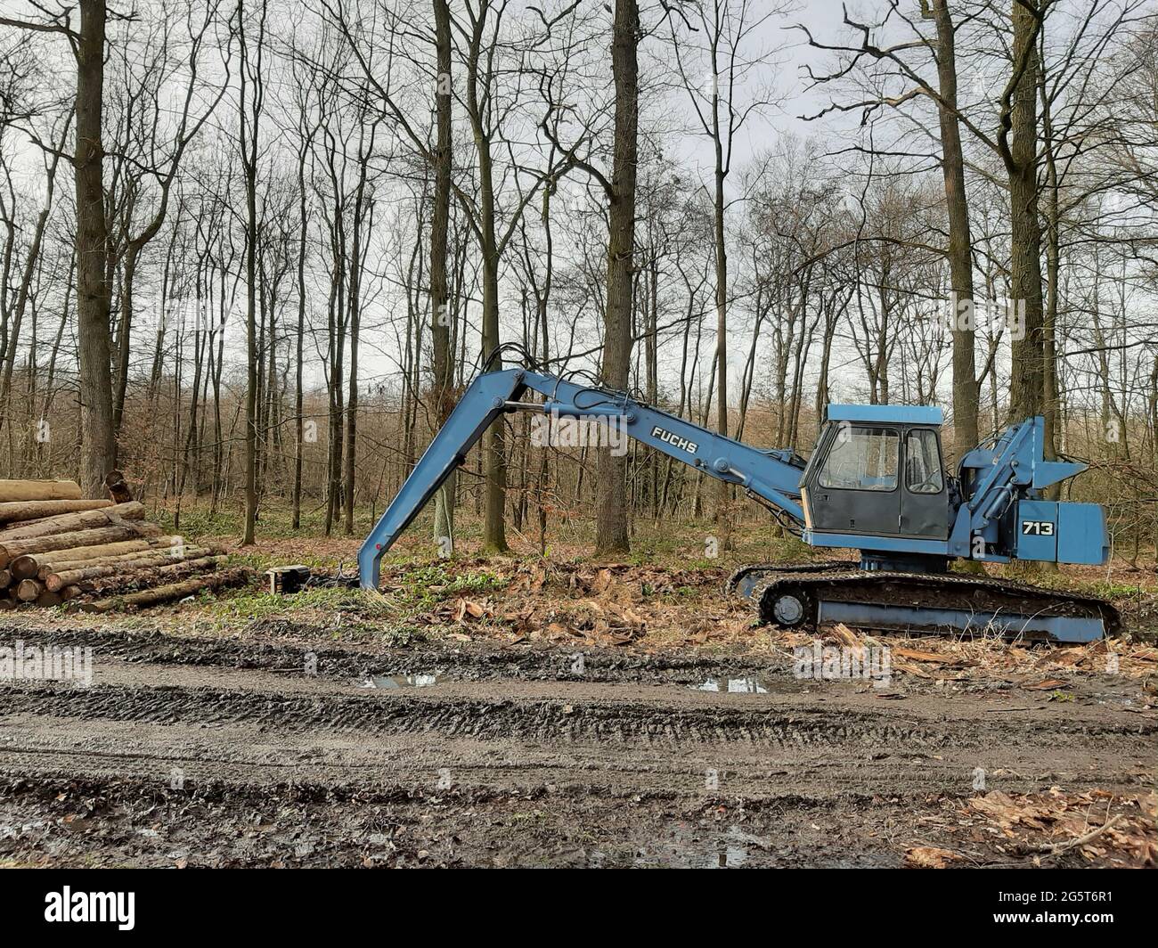 Excavator forest hi-res stock photography and images - Alamy