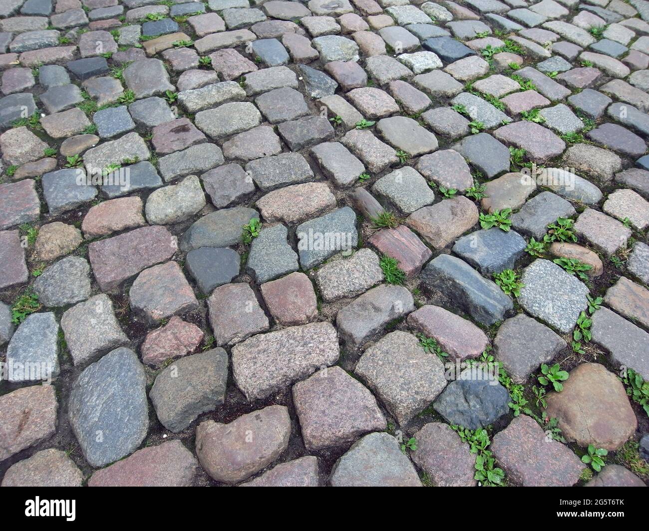 Paving Stone