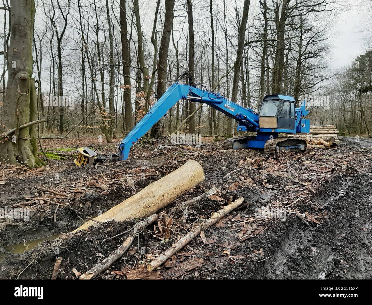 Excavator forest hi-res stock photography and images - Alamy