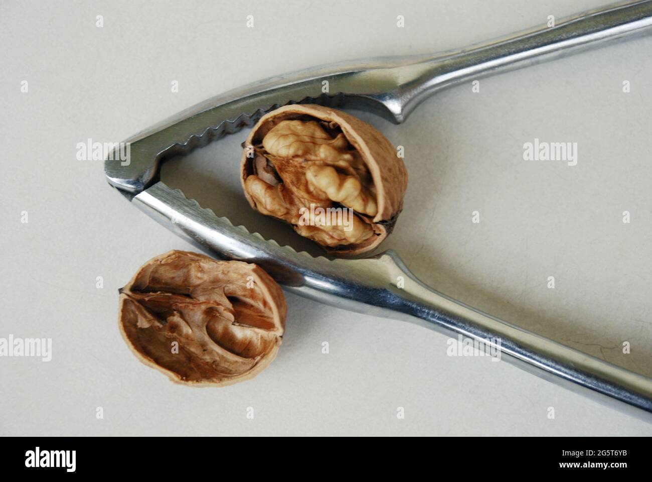 walnut (Juglans regia), nutcracker with opened walnut Stock Photo - Alamy