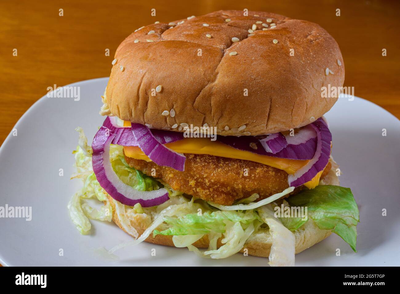 Chicken patty hi-res stock photography and images - Alamy
