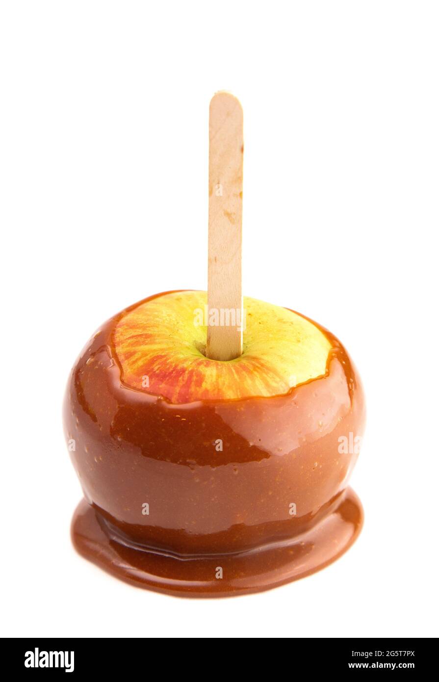 Single Hand Dipped Homemade Caramel Apples on a White Background Stock ...