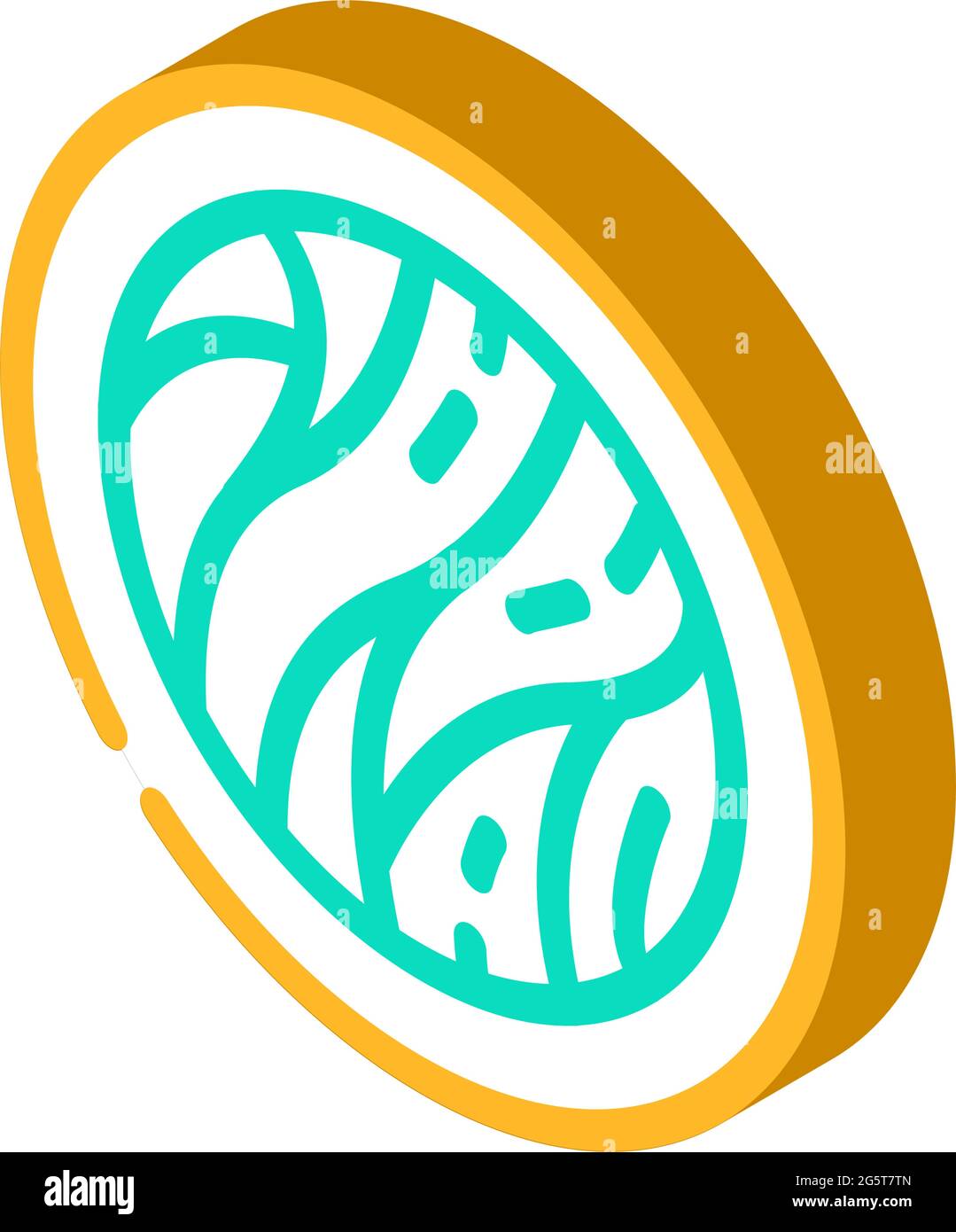 cellulose nutrition fact isometric icon vector illustration Stock ...