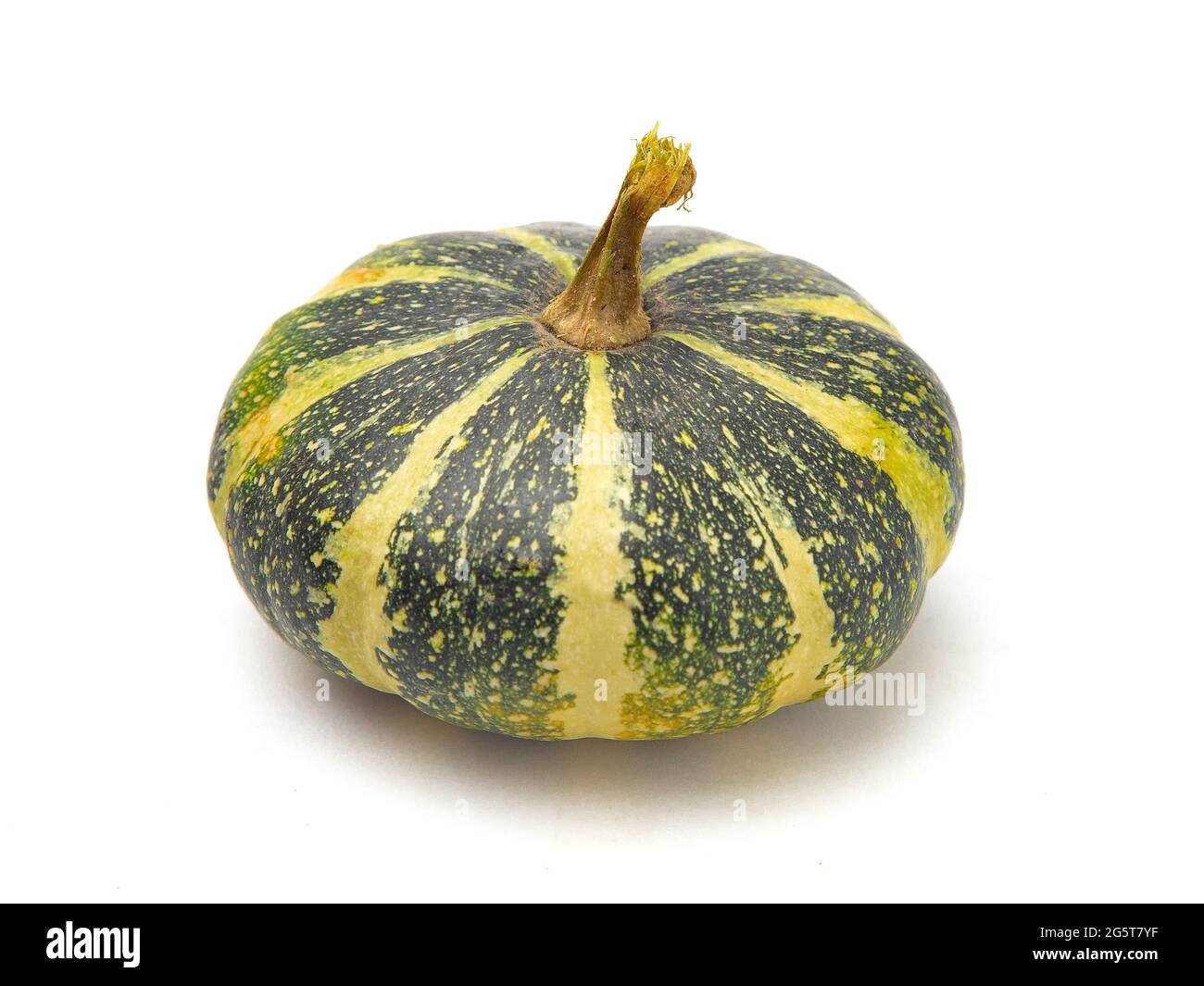 A Round Green and Yellow Gourd on a White Background Stock Photo - Alamy