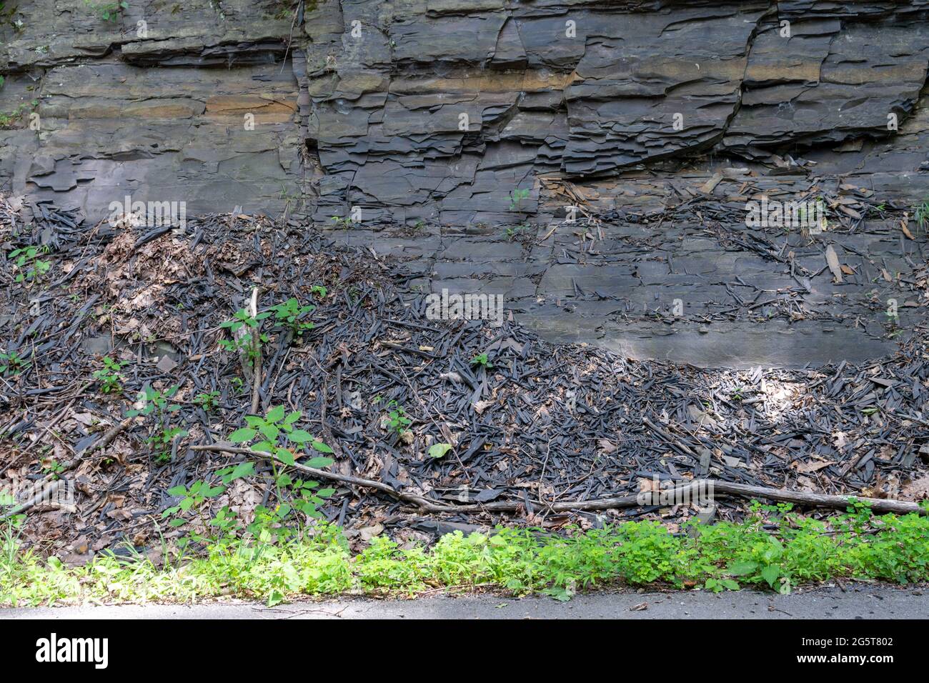 Shards of shale at the base of a cliff side Stock Photo - Alamy