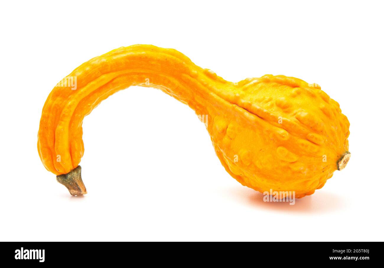 Lumpy gourd hi-res stock photography and images - Alamy