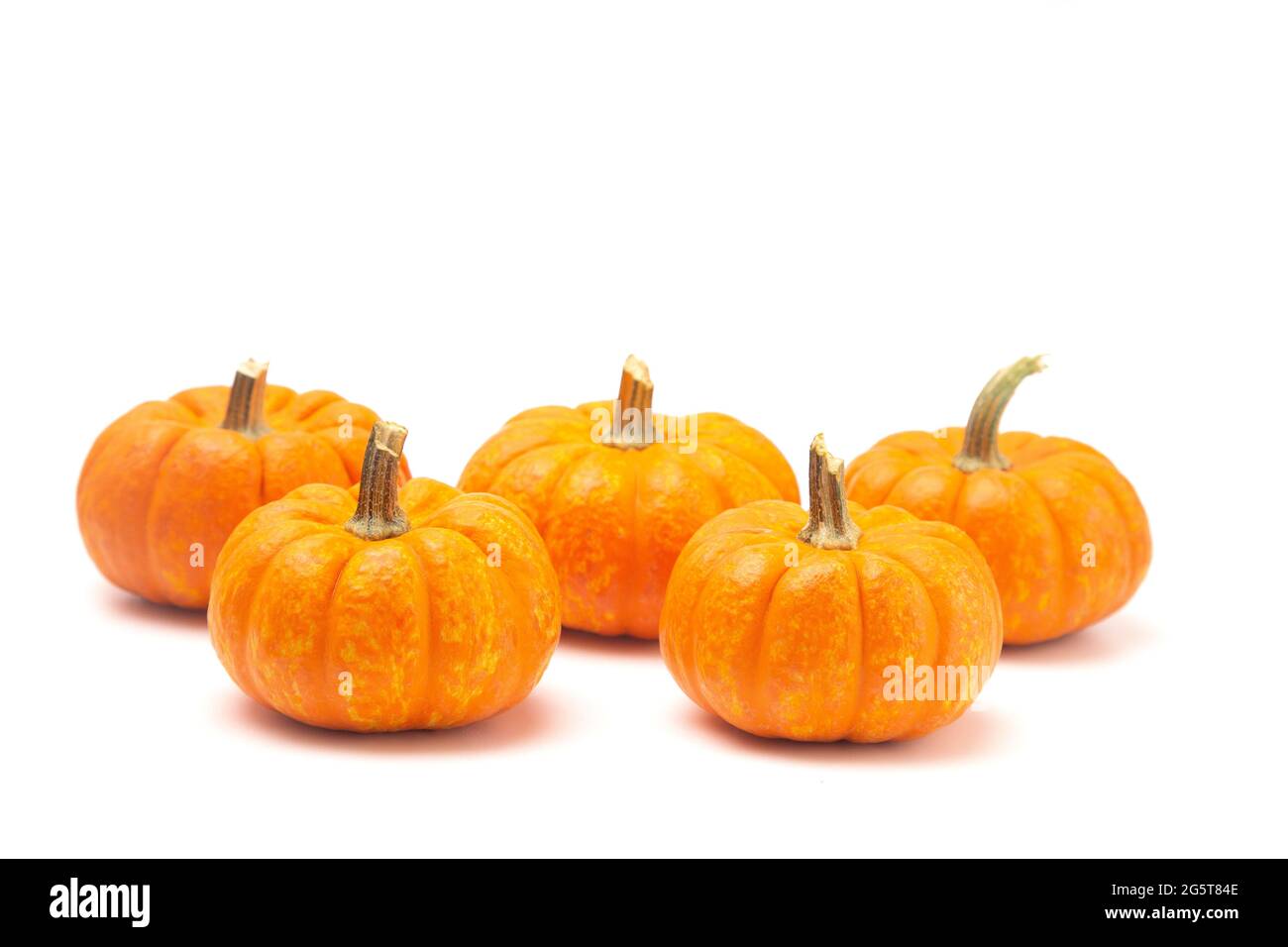 Five small hi-res stock photography and images - Alamy