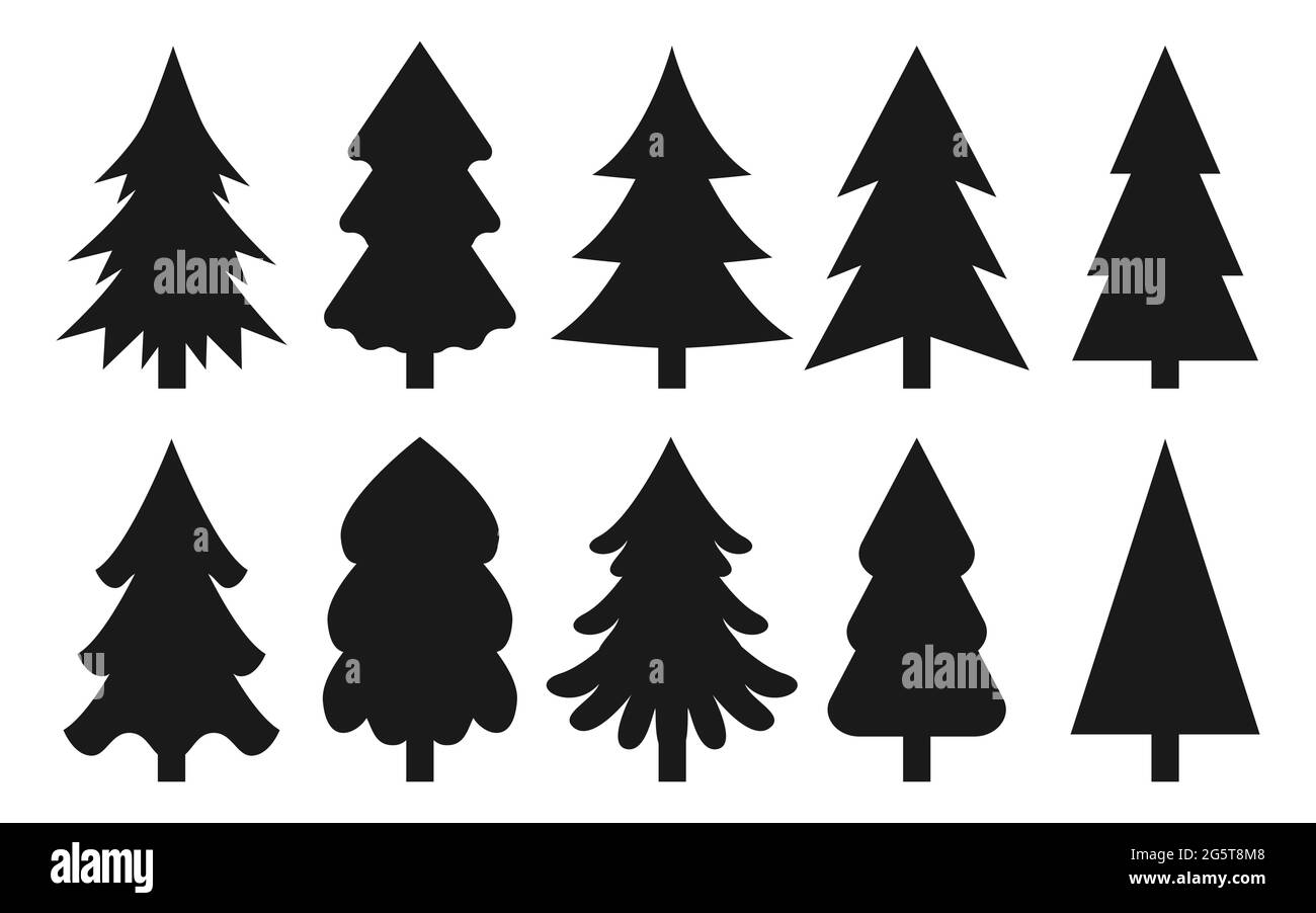 Pine Tree Silhouette With Birds