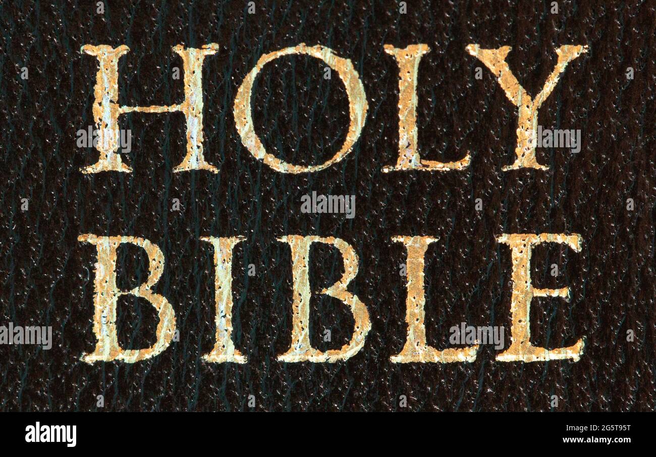 Holy Bible Printed on the The Side Panel in Embossed Gold Letters Stock ...