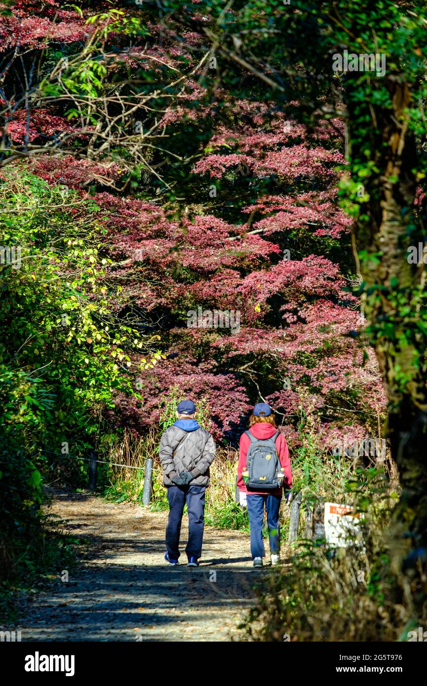 Nice man walking in hi-res stock photography and images - Alamy