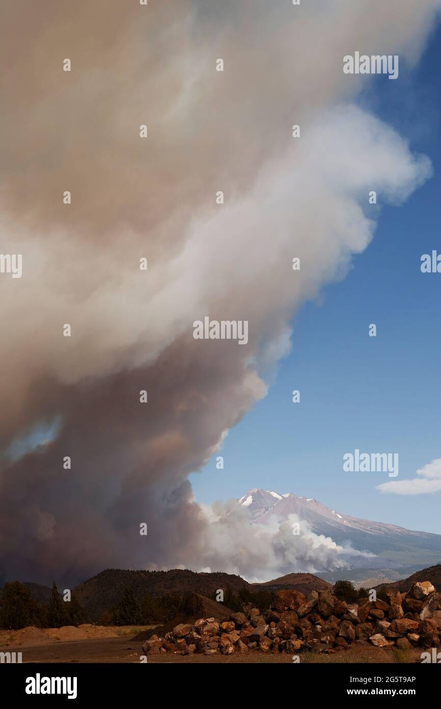 Mount shasta shastina hi-res stock photography and images - Alamy