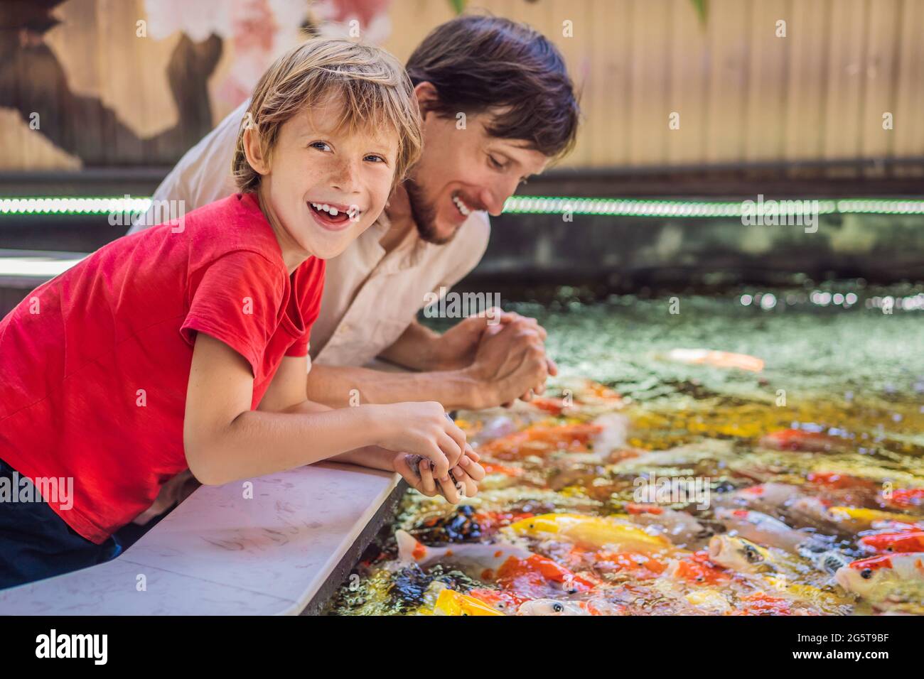 Child feeding pet fish hi-res stock photography and images - Alamy