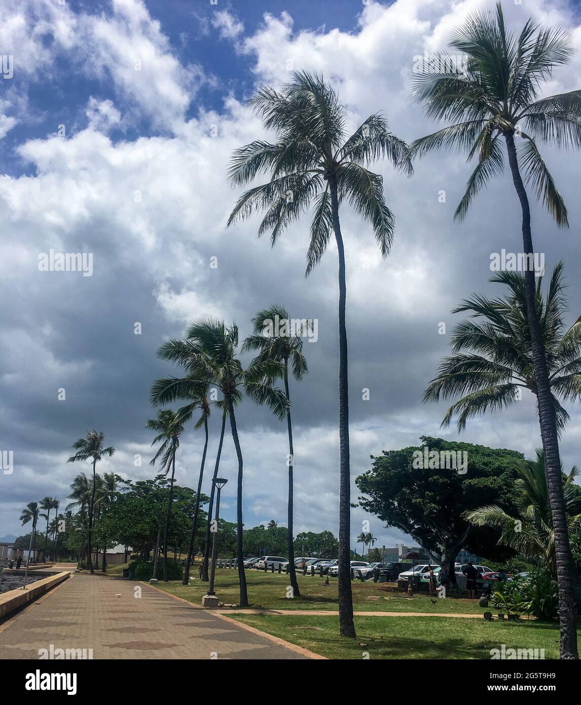 Point Panic Hawaii town Stock Photo - Alamy