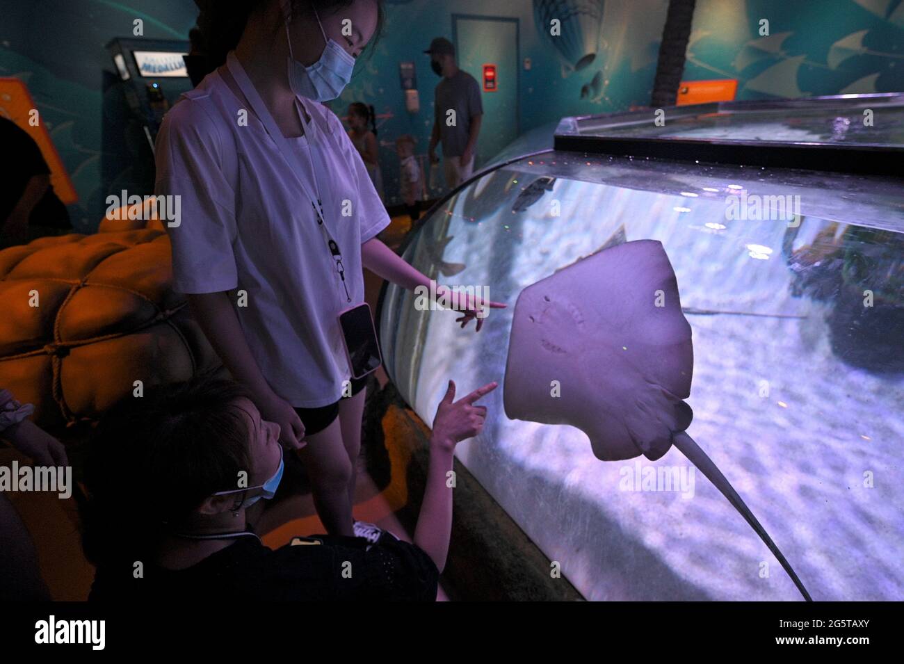 East Rutherford, USA. 29th June, 2021. Visitors point to a stingray as ...