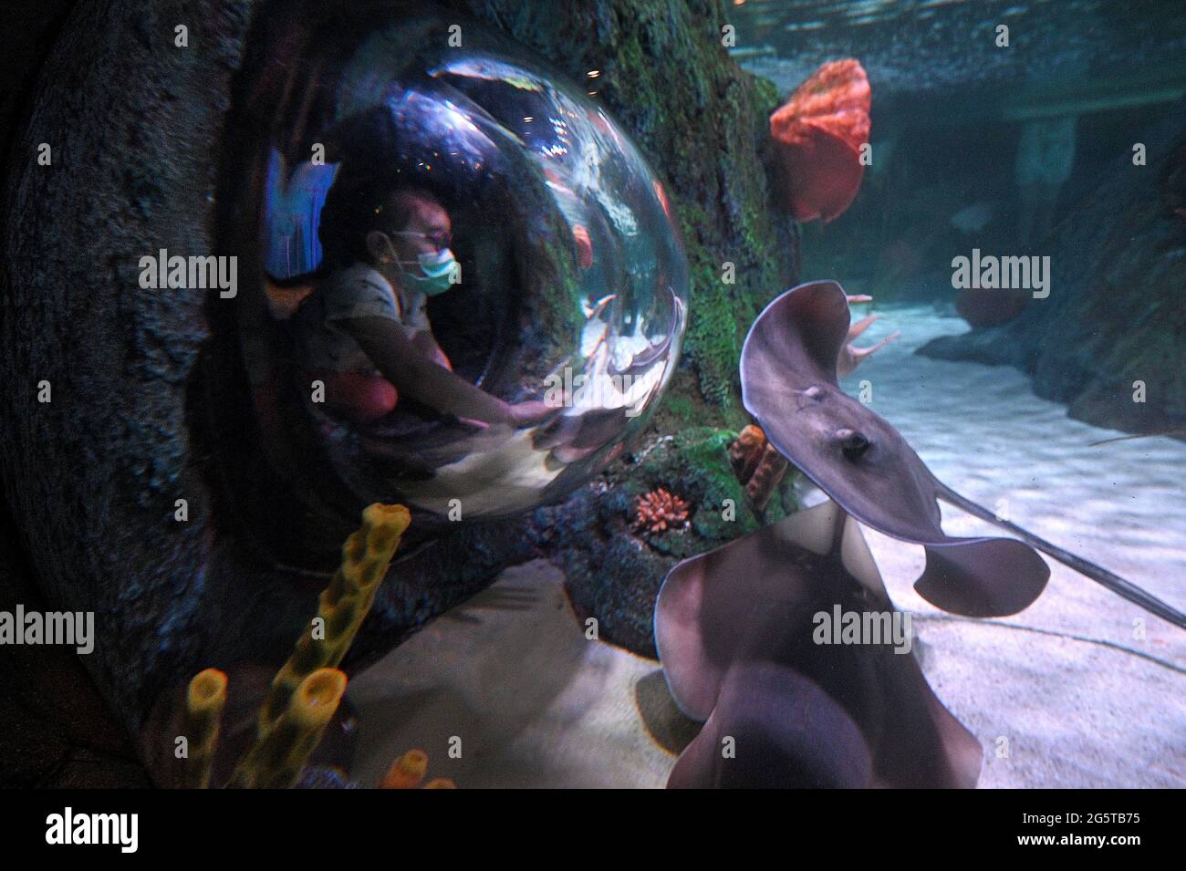 East Rutherford, USA. 29th June, 2021. A young visitor looks through a ...