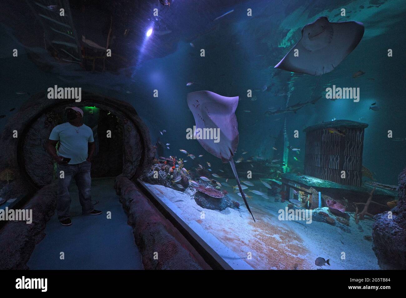 East Rutherford, USA. 29th June, 2021. A visitor stands in a plexiglass ...