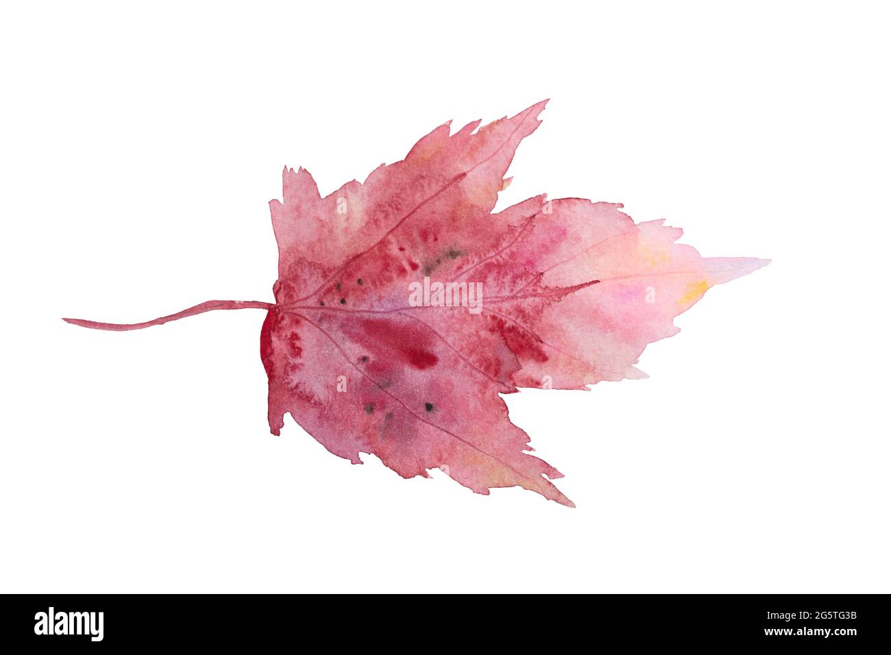 Vintage maple stain hi-res stock photography and images - Alamy