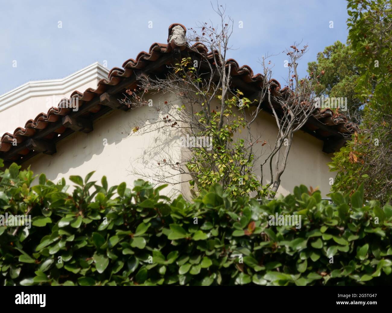 Johnny Lewis Death Photos