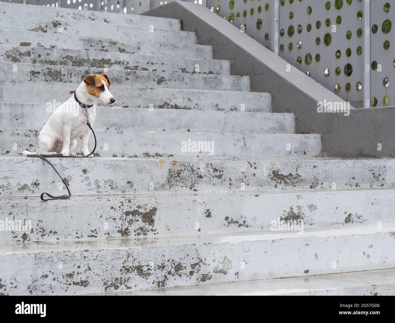 Unhappy jack hi-res stock photography and images - Alamy