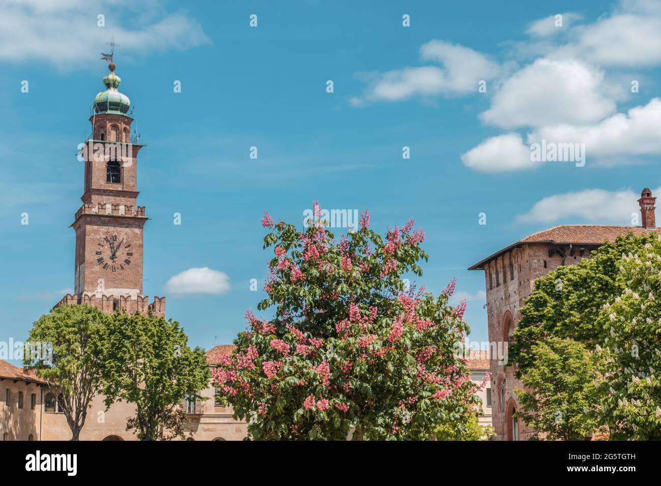 Vigevano, Italy: the clock tower and the castle. Colored vegetation on ...
