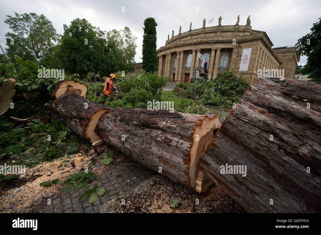 Stuttgart, Germany. 30th June, 2021. An employee of a tree care company ...