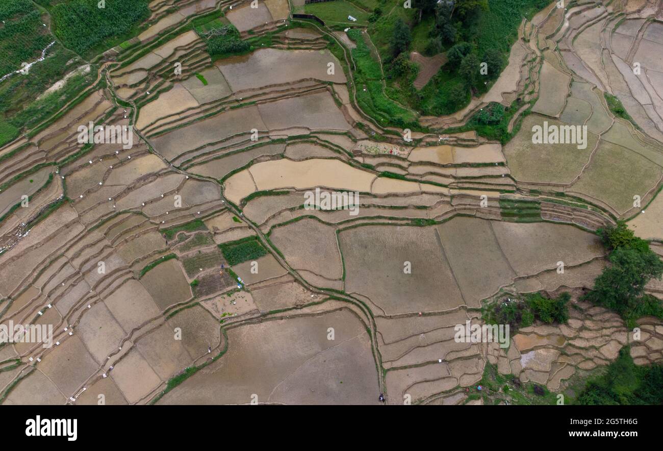 Alamy image of paddy field hi-res stock photography and images - Alamy