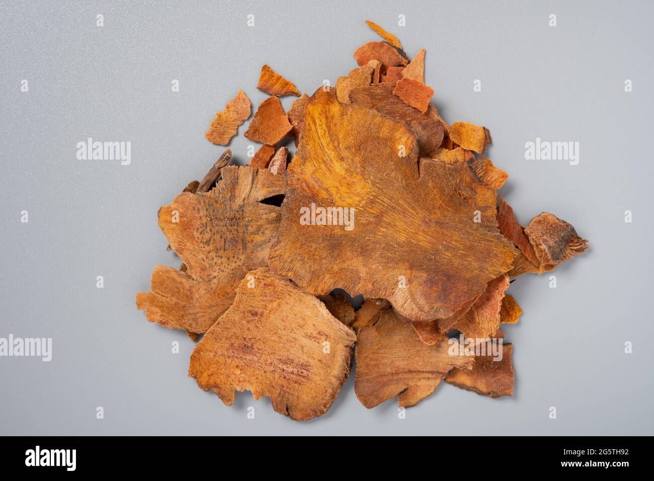 Glabrous greenbrier rhizome hi-res stock photography and images - Alamy