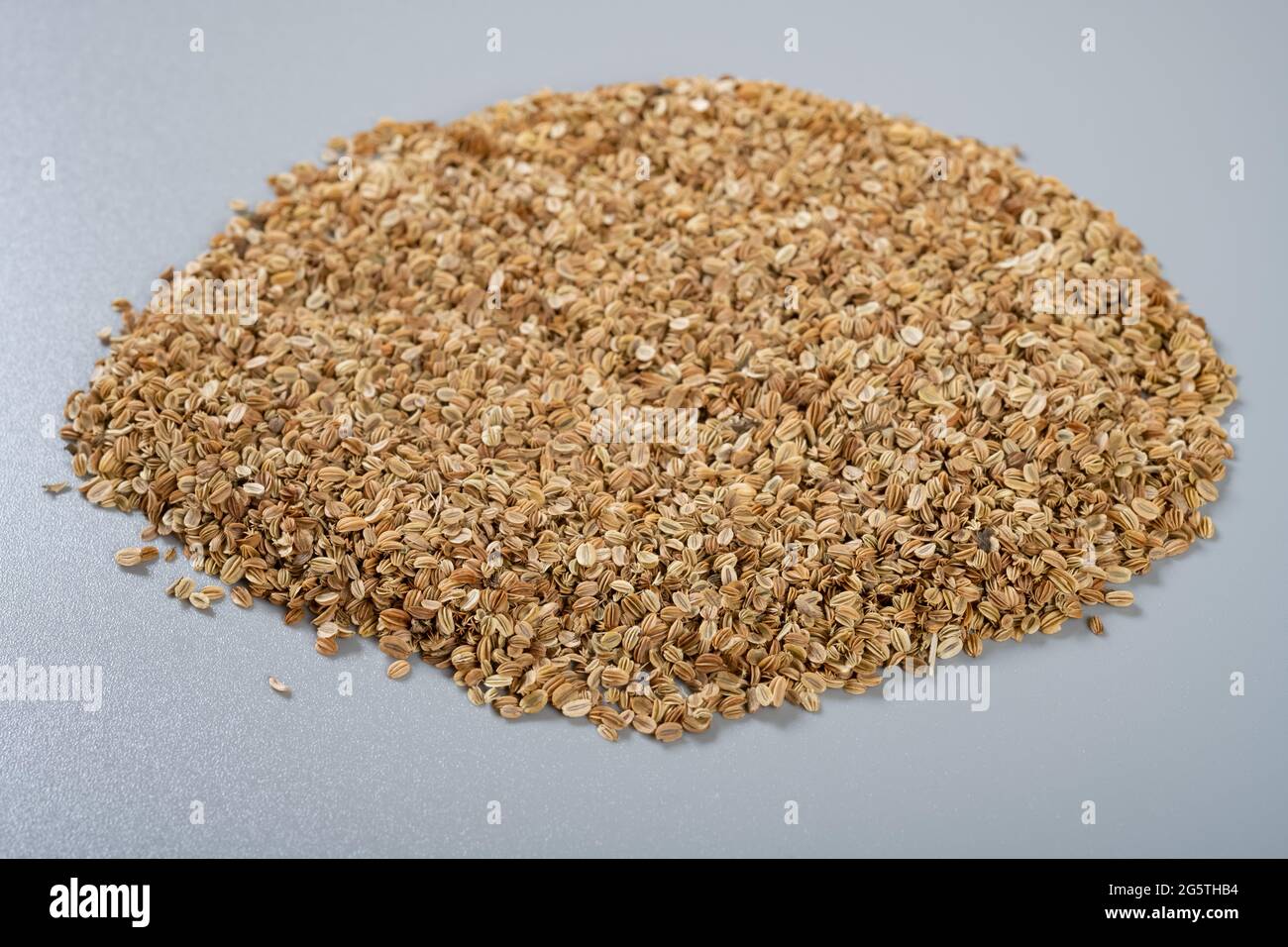 Common cnidium fruit hi-res stock photography and images - Alamy