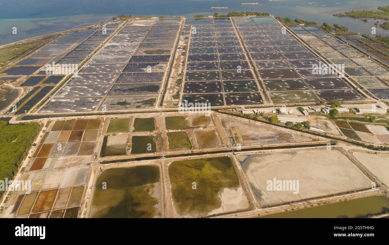 shrimp farm, prawn farming with with aerator pump oxygenation water ...