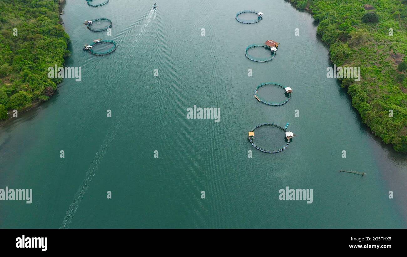 Fisheries on Luzon Island, Philippines. Fish farm, top view. Aerial ...