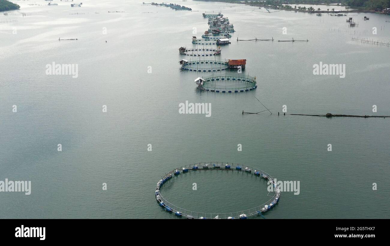 Aerial view of fish ponds for bangus, milkfish. Fish farm, top view ...