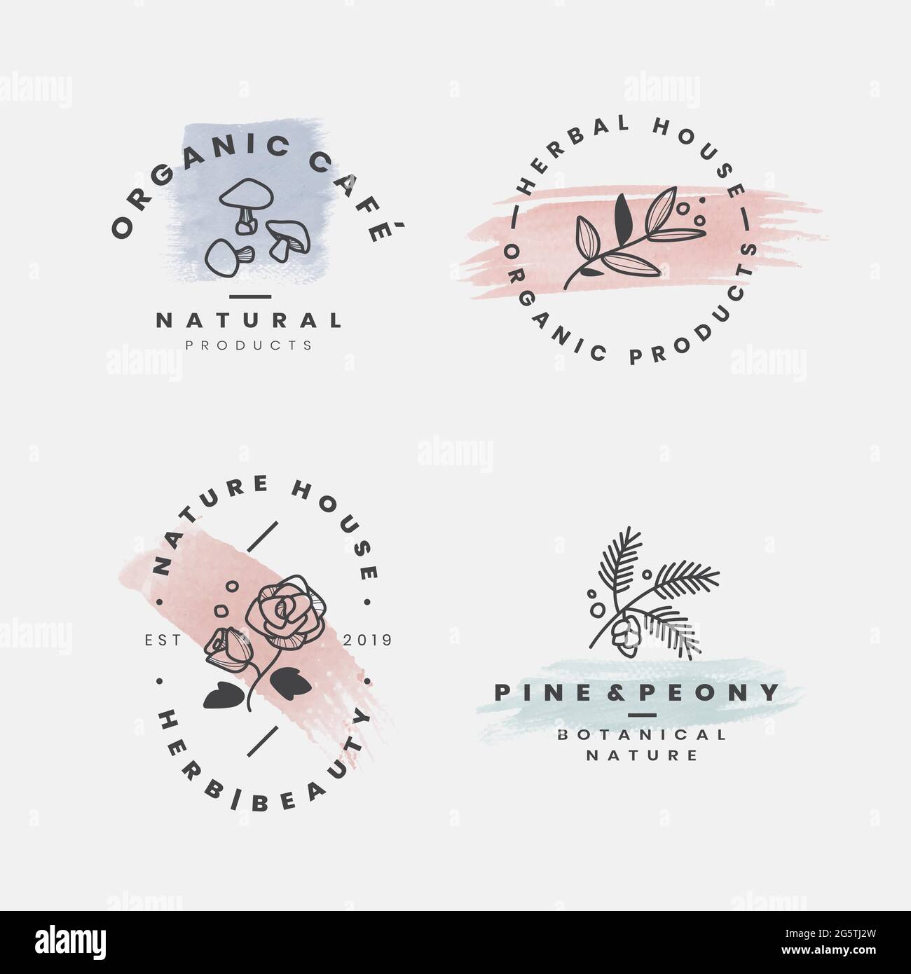 Botanicals Vector Vectors High Resolution Stock Photography and Images ...