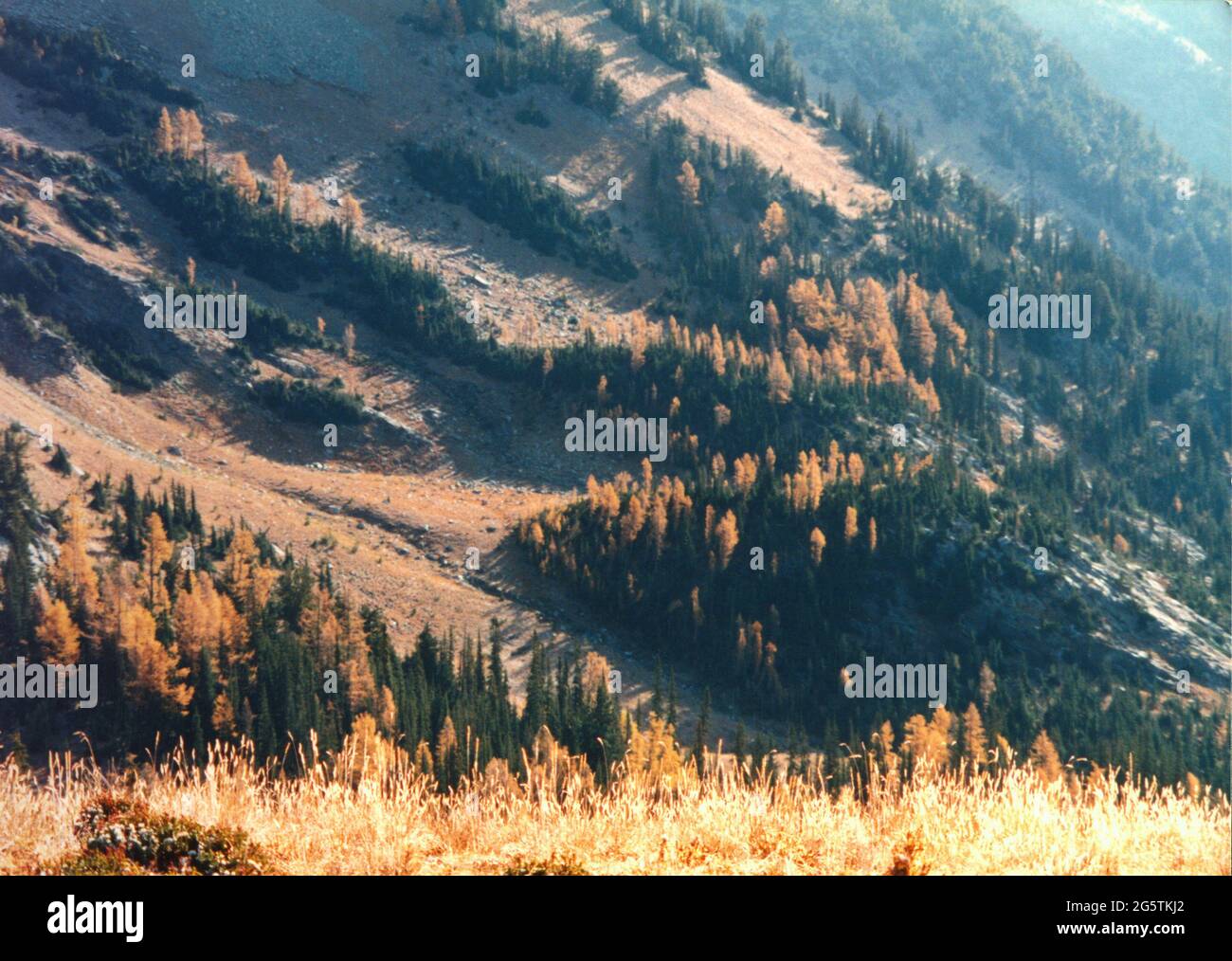 Entiat Valley autumn in the Cascade Mountains Stock Photo - Alamy