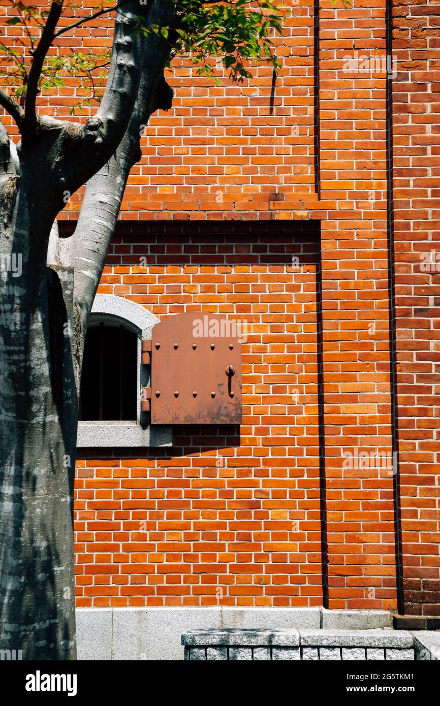 Brick wall and tree, Ozu Redbrick Hall Akarenga-kan in Ehime, Shikoku ...