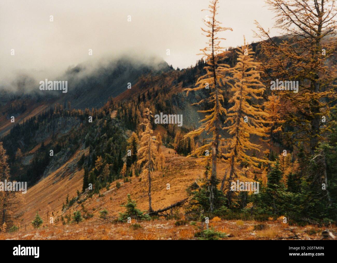 Entiat hi-res stock photography and images - Alamy