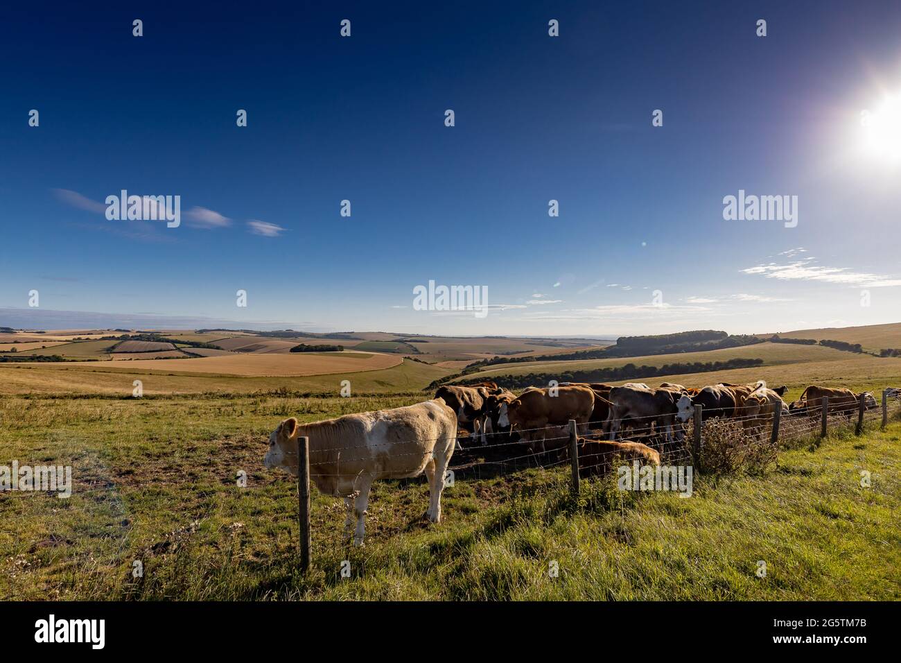 Brighton & Hove, Saltdean & Rottingdean Local Area Photography Stock ...