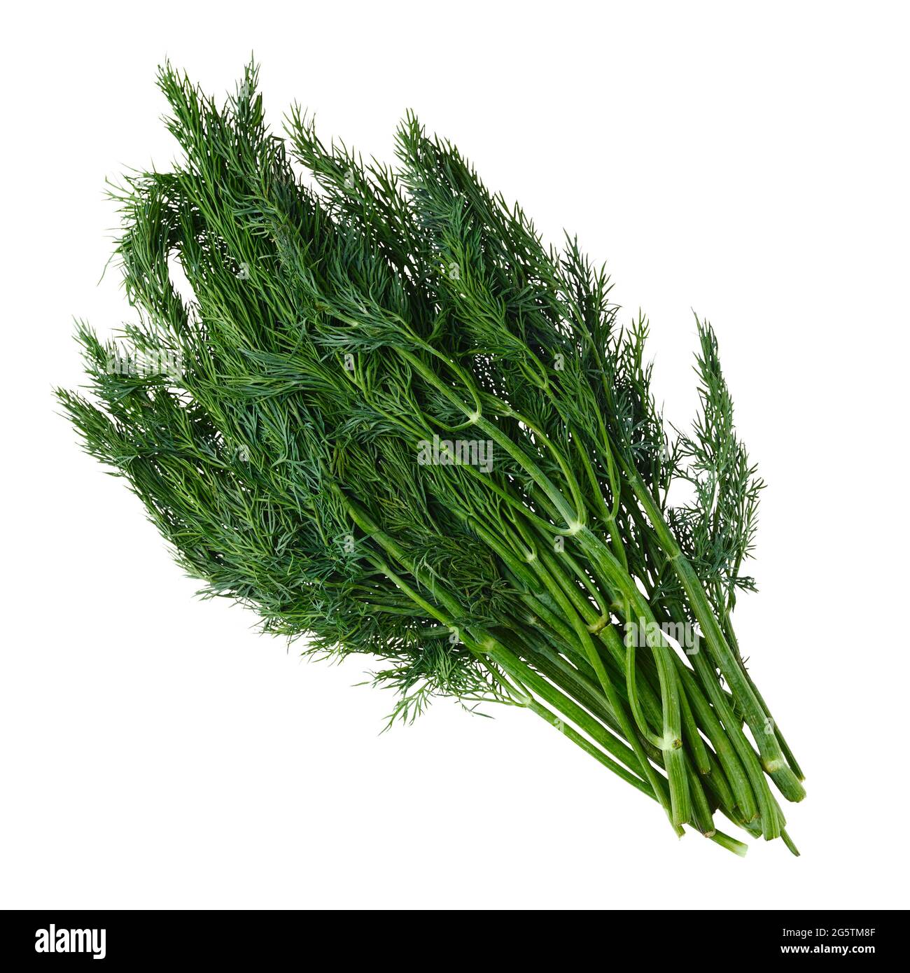 Dill isolated overhead hi-res stock photography and images - Alamy