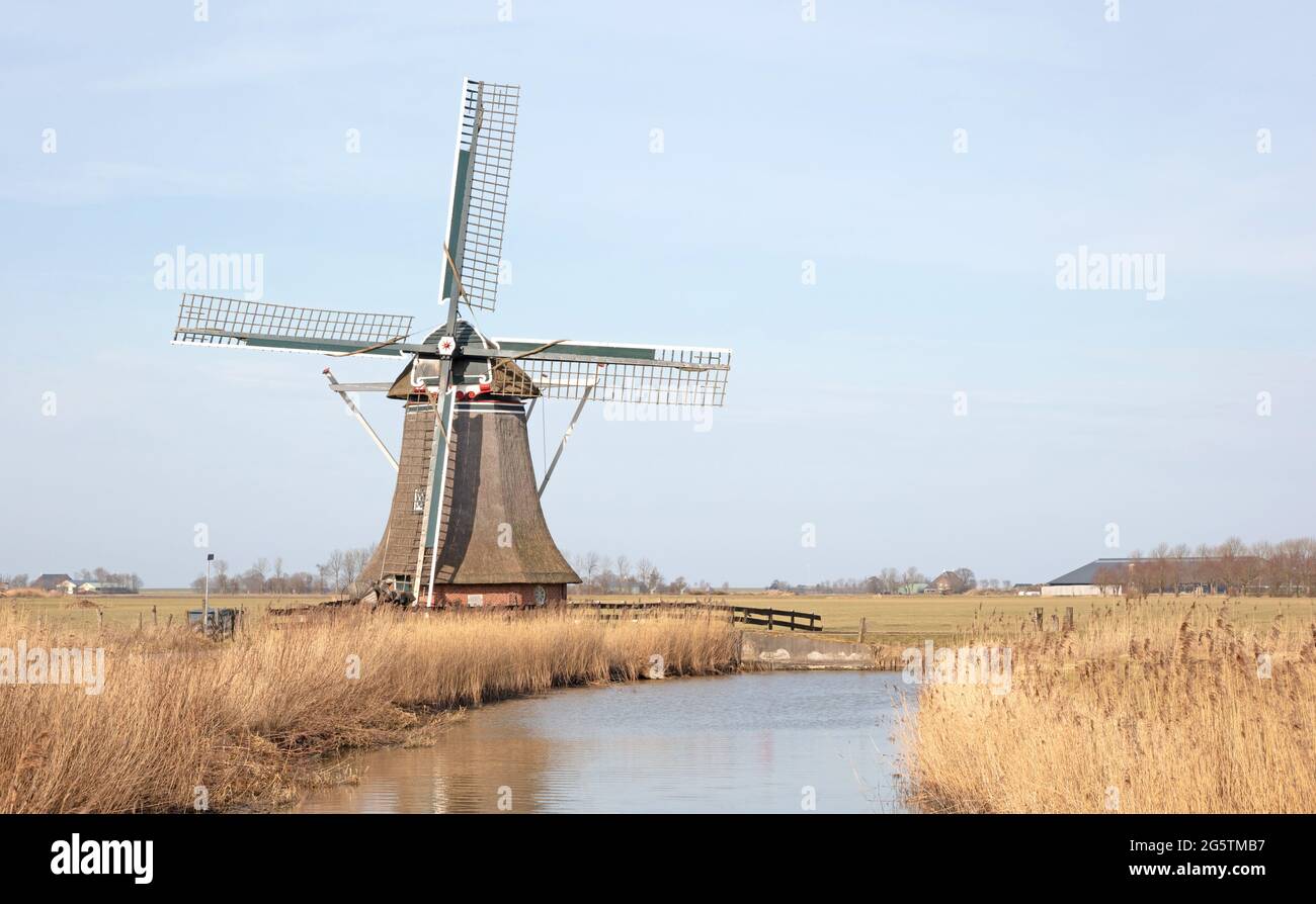 Old windmill in the Netherlands, catching dutch wind Stock Photo - Alamy