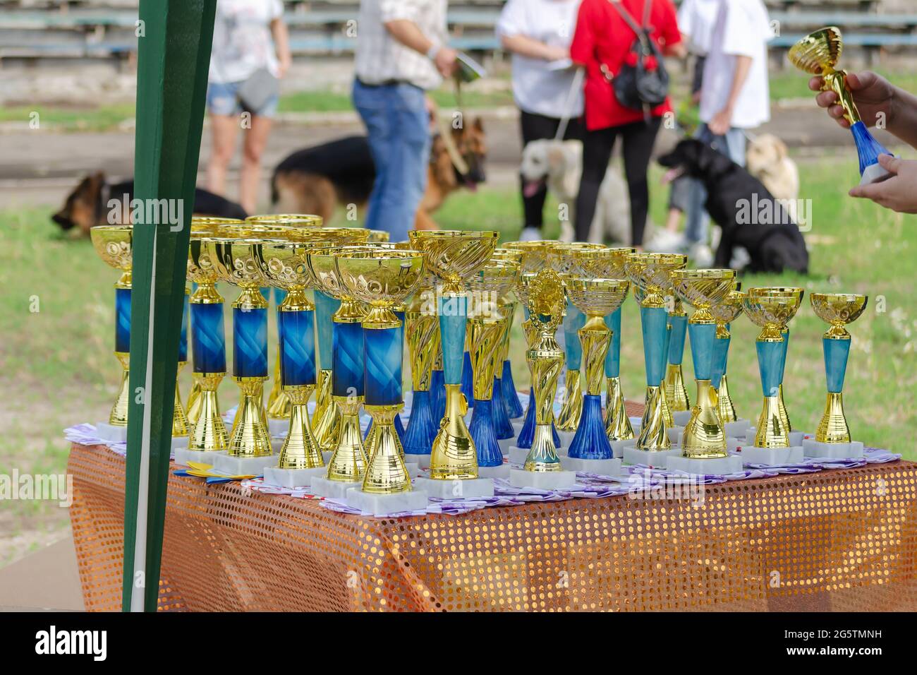 Sports award trophy table hi-res stock photography and images - Alamy