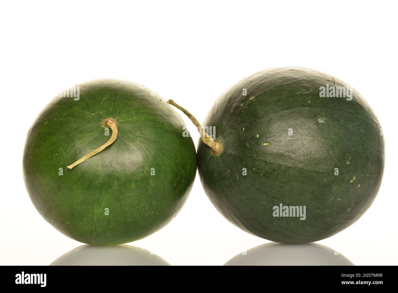 Two dark green organic watermelons close-up, on a white background ...