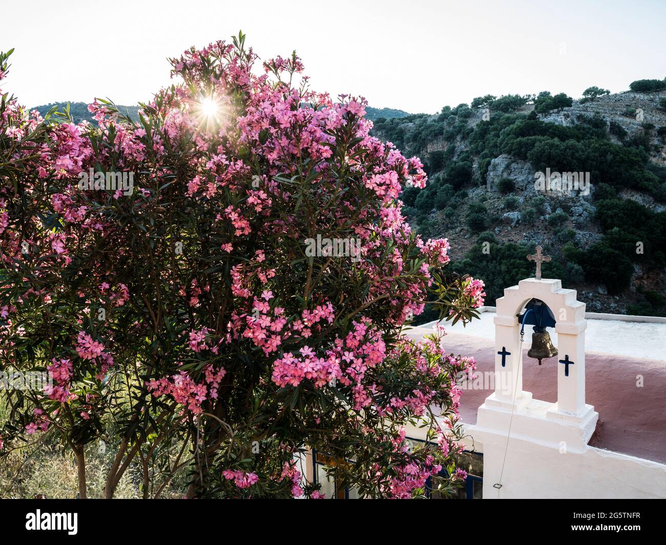 Ramni hi-res stock photography and images - Alamy