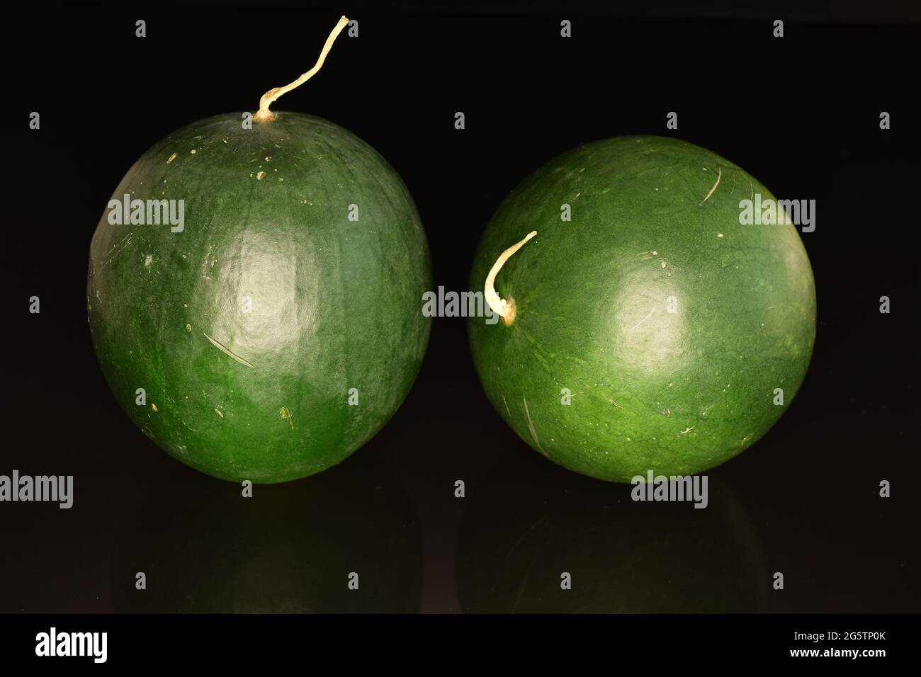 Two whole dark green organic watermelons, close-up, on a black ...