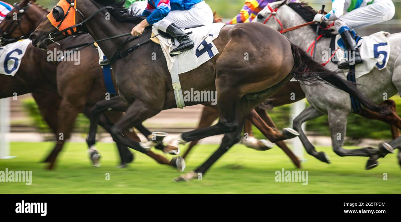 Horse racing themed photograph. Horses running on the race track Stock ...