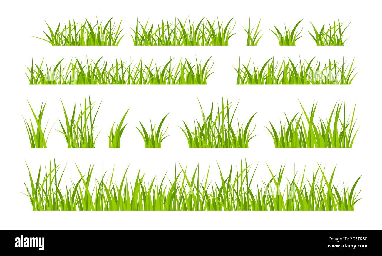 Green grassland lawn field border flat style design vector illustration ...